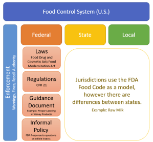 US Regulations | The Future Of Edible Insects